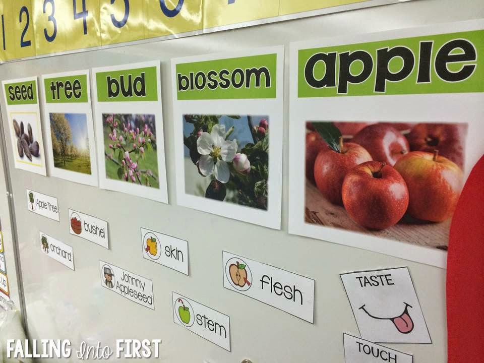 Smart Apple Science | Falling into First