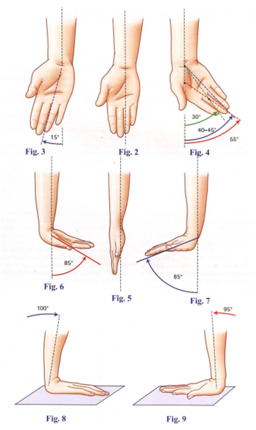 Bases de Biomecanica Articular del Miembro Superior.: Amplitud de Movimientos