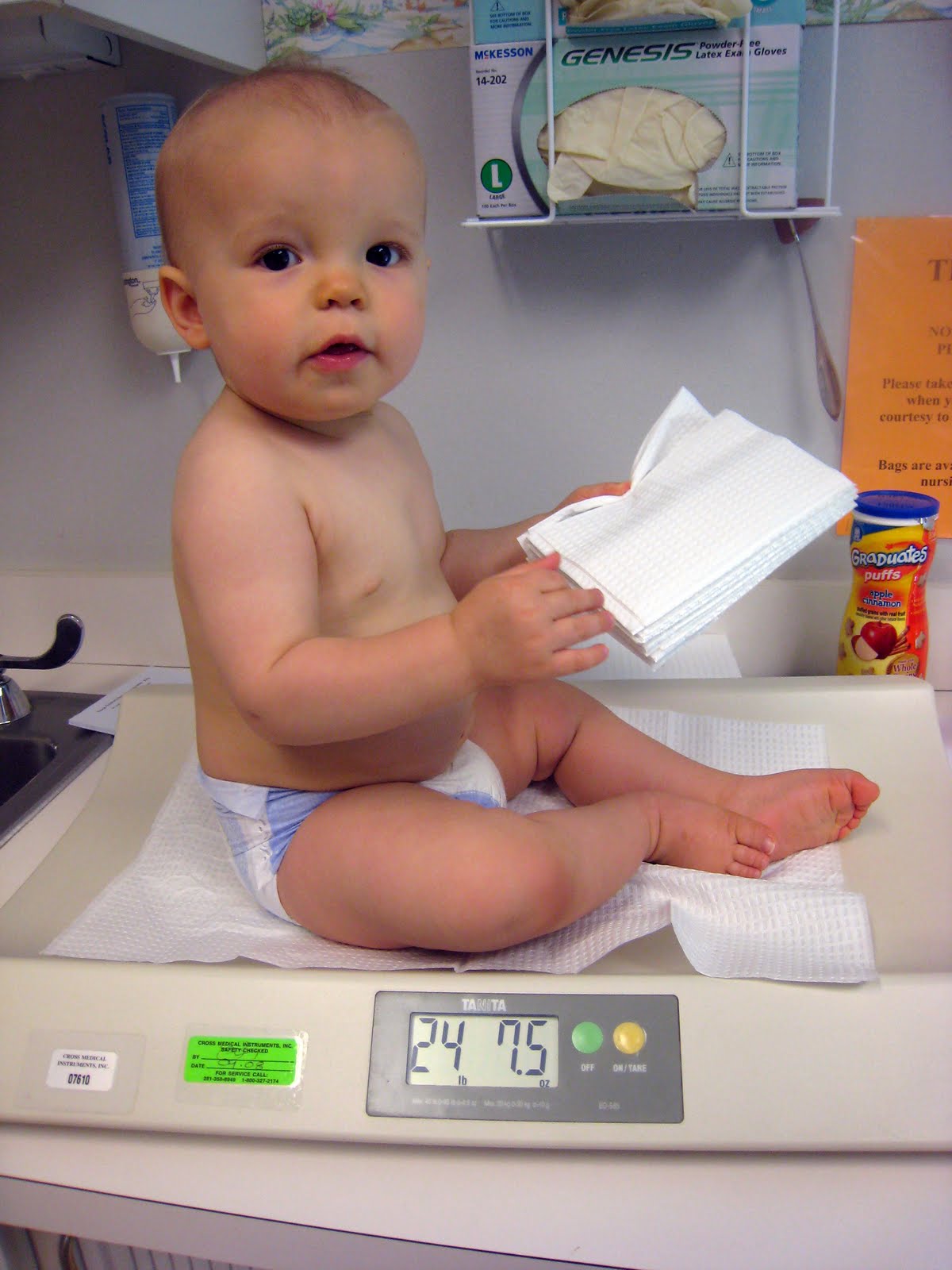 The MacGregor Family 12 Month Appointment the-macgregor-family-12-month-appointment