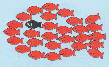 Connecting Literature and Mathematics: Swimmy