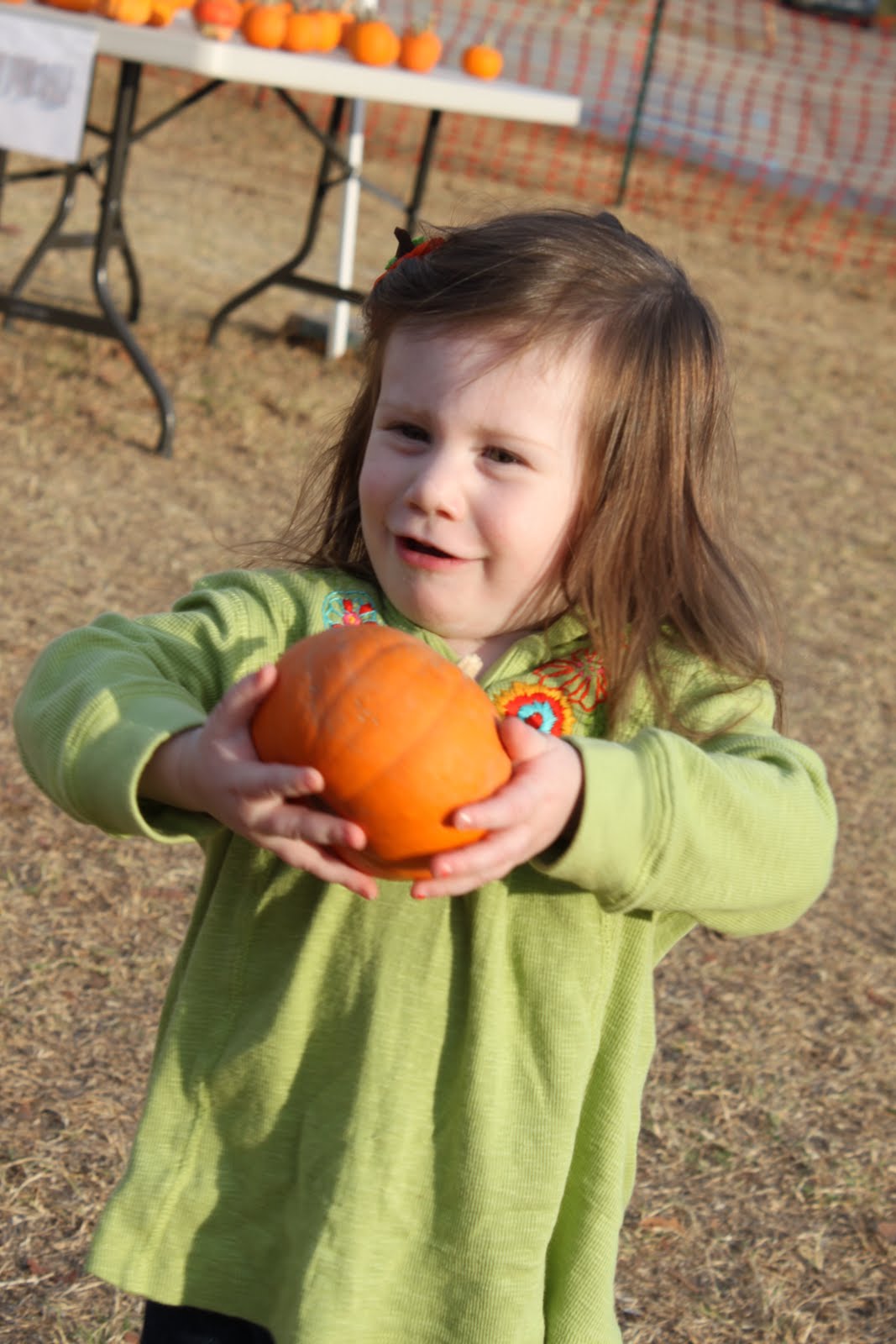 Mojoy: Pumpkin Patch 2010...