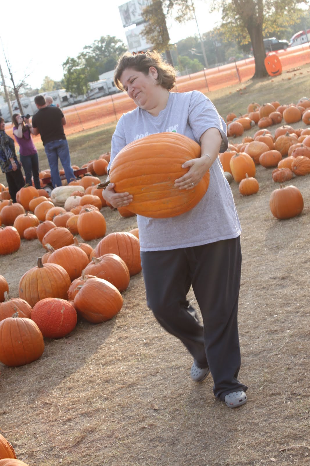 Mojoy: Pumpkin Patch 2010...