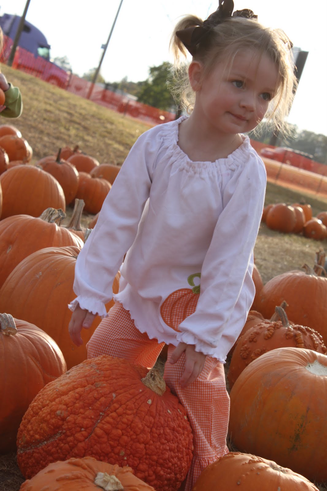 Mojoy: Pumpkin Patch 2010...