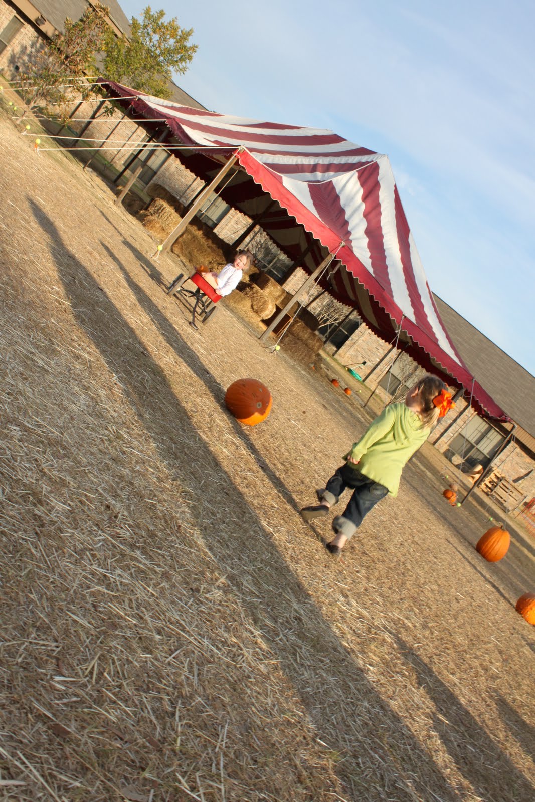 Mojoy: Pumpkin Patch 2010...