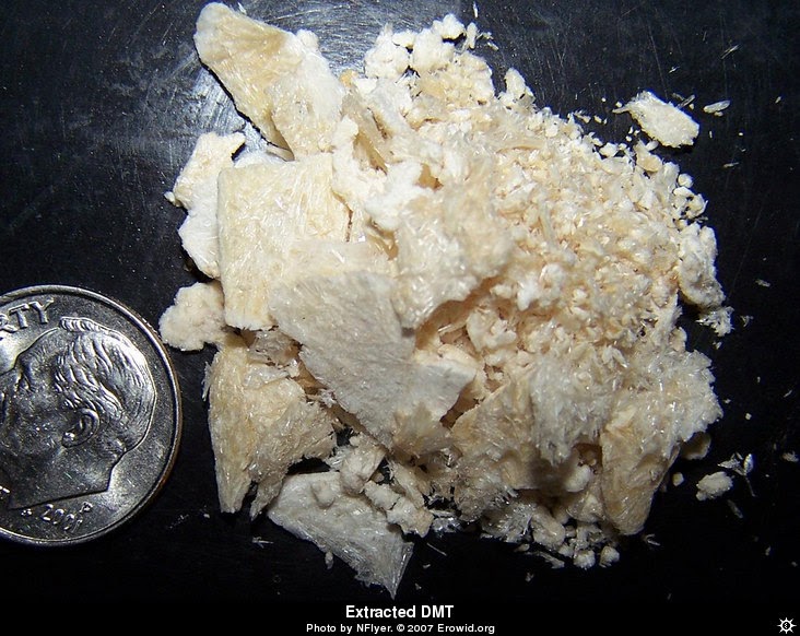 Drogas Ilícitas: DMT