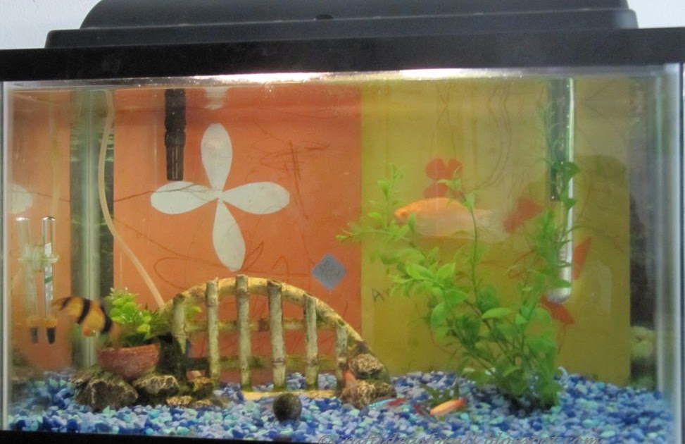 Craft Ideas For All Aquarium Background Screen Amazing Craft For Toddler craft-ideas-for-all-aquarium-background-screen-amazing-craft-for-toddler