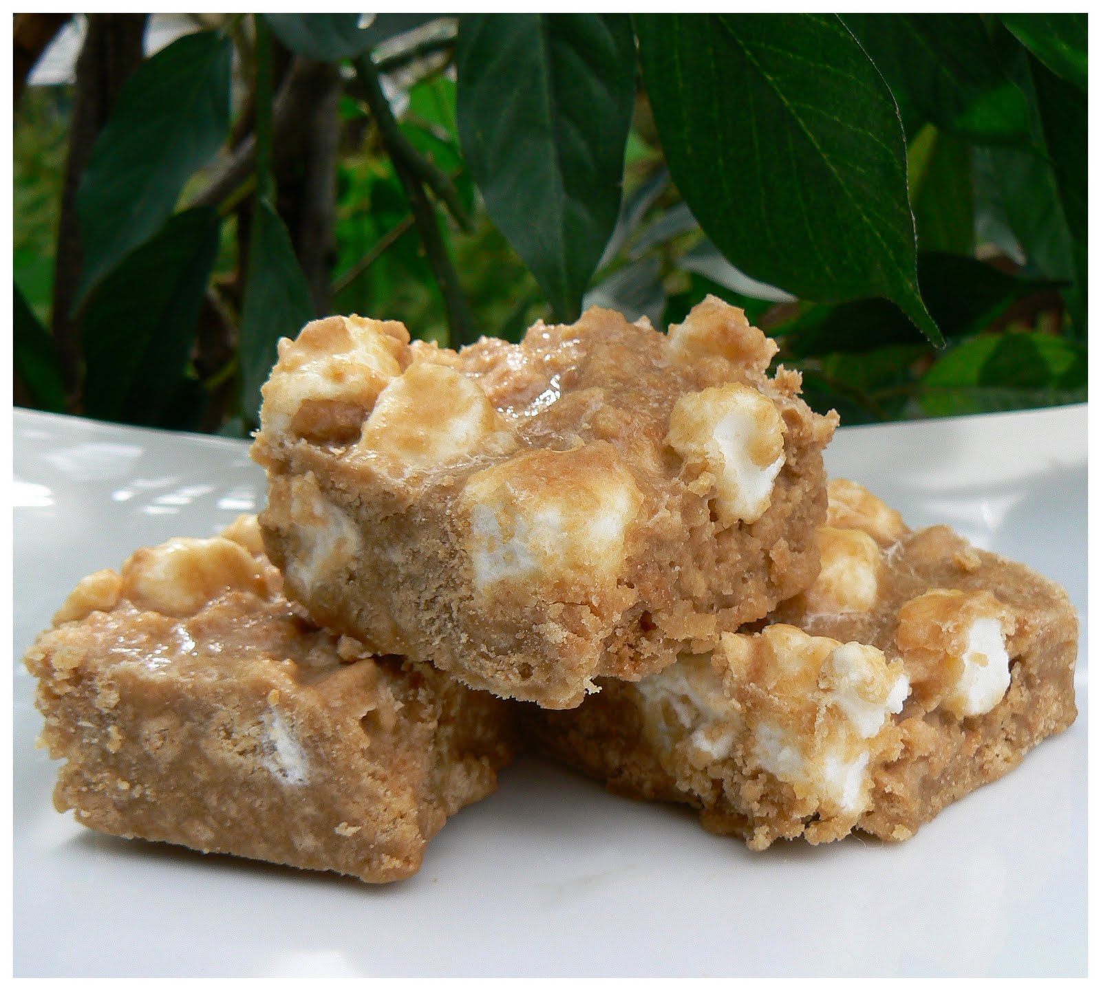 Le palais gourmand: Carrés aux guimauves