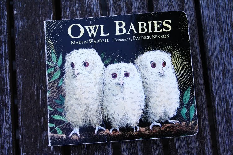 The Book Children: Owl Babies