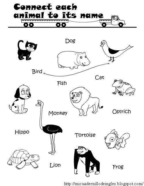 Aprende el nombre de los animales