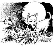 Guatemala, tierra de cultura, tradición y tamales.: El cadejo (leyenda)