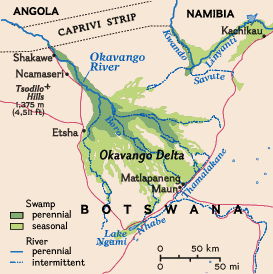 Okavango Delta, Botswana - From Wet to Dry: Critical Environments of Africa - Research Guides at ...