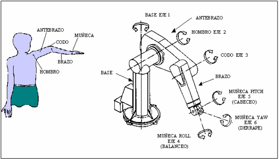 BRAZOS ROBÓTICOS EN LA INDUSTRIA AUTOMOVILÍSTICA: DESCRIPCIÓN DE UN BRAZO ROBÓTICO