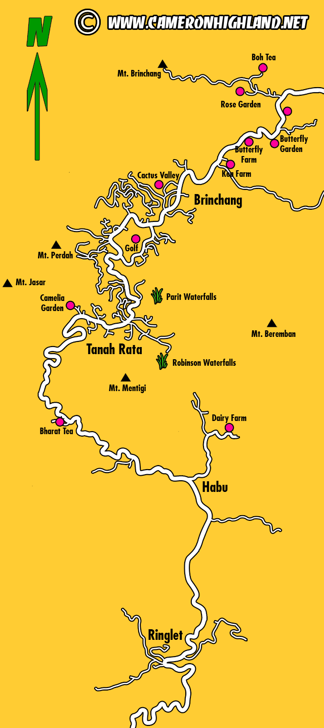 malaysia 旅游胜地: cameron highland