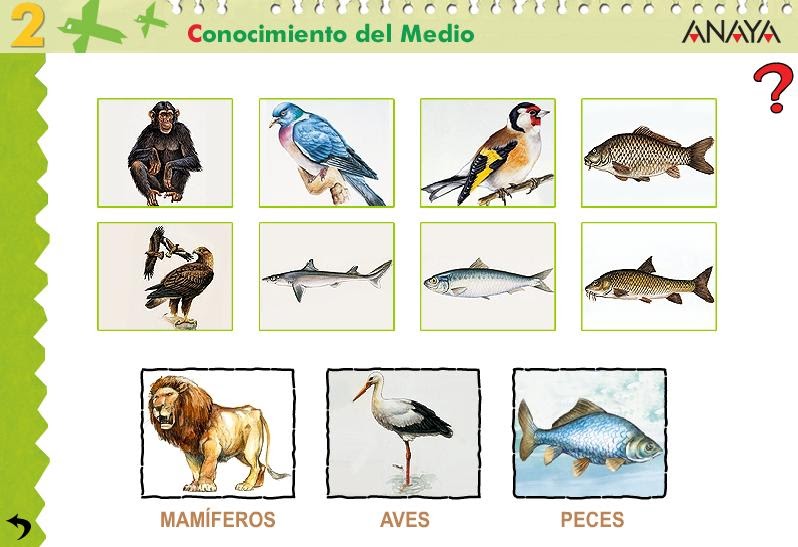 Primer Ciclo Carretería: Mamíferos, aves y peces