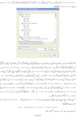 Learn Computer in Urdu, Computer Courses in Urdu: Basic Internet in Urdu Class 4