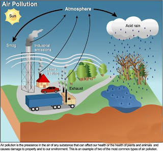 My World: Air Pollution Affects Plants, Animals, and Environments