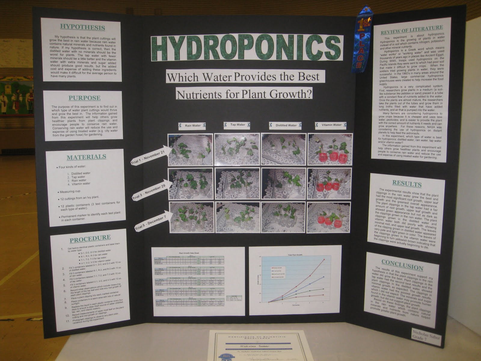 My Science Classroom: Science Fair 2010
