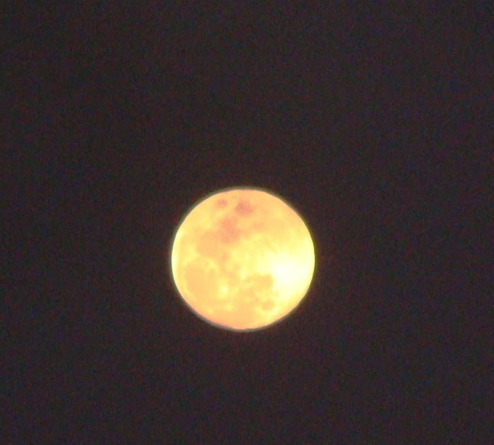 The Alien Diaries The Moon The Stars And The Sun a Look At Celestial Objects In Bulgarian the-alien-diaries-the-moon-the-stars-and-the-sun-a-look-at-celestial-objects-in-bulgarian