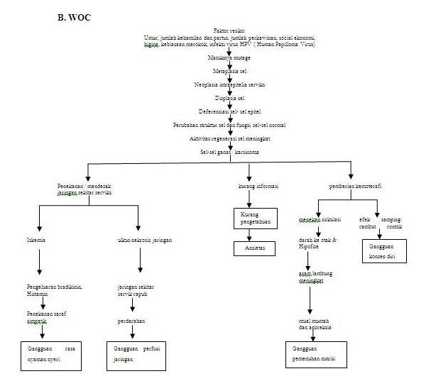 anggreni: LAPORAN PENDAHULUAN GANGGUAN REPRODUKSI CA CERVIKS