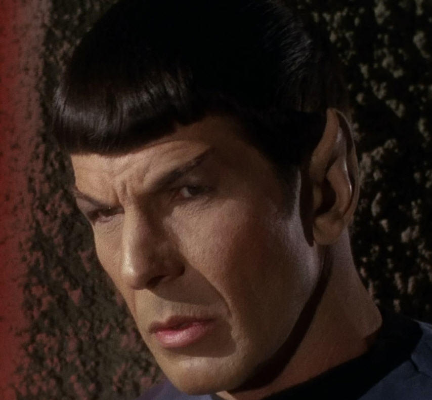 Star Trek Prop, Costume & Auction Authority: Spock Ears