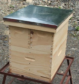 Double nuc, what am I missing? | Beesource Beekeeping Forums
