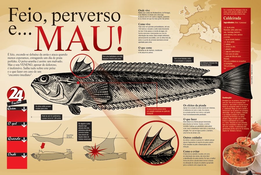 infografia 24horas: Peixe Aranha