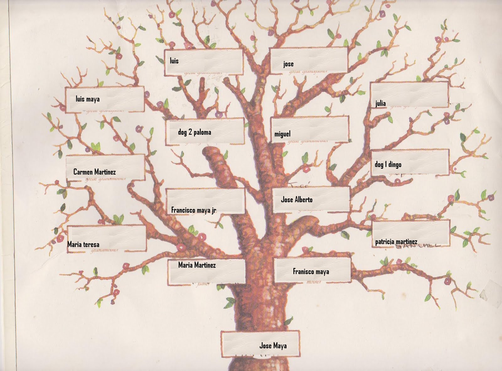 El arbol de mi familia - Imagui
