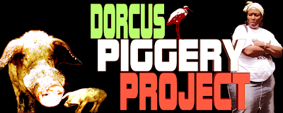 DORCUS PROJECT: Dorcas Project