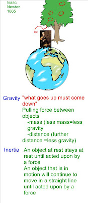 Mr Schriner Science: 1.8.08 -Newton - Gravity and Inertia