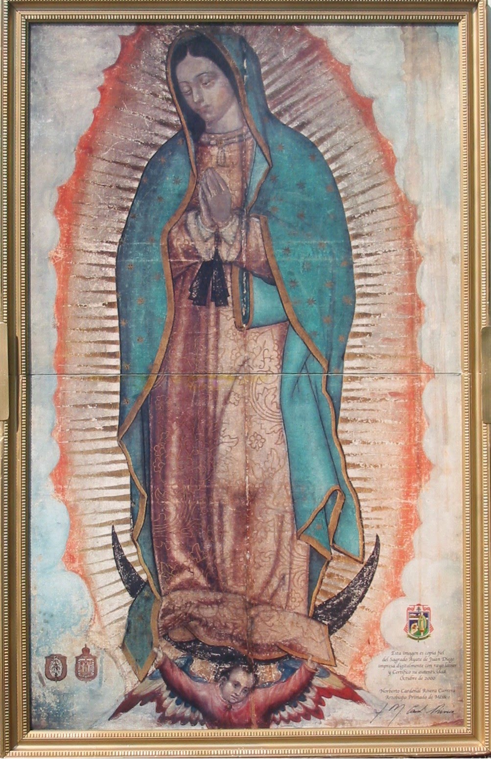 !: NUESTRA SEÑORA DE GUADALUPE