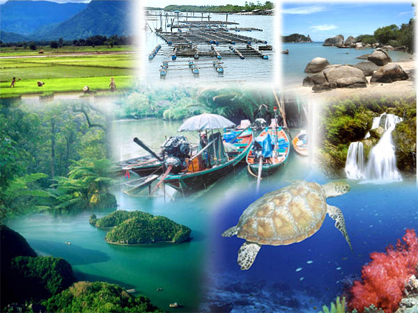 Water Is Life Causes Of Environmental Problems water-is-life-causes-of-environmental-problems