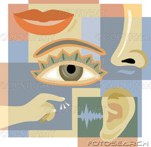 Habits of Mind Explored: Gathering data through all senses