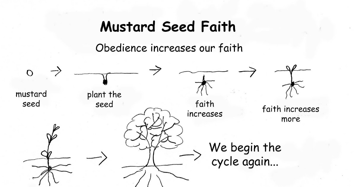 Getting To Know God: Mustard Seed Faith