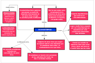 Muy importante!: ESQUEMAS DE LOS ECOSISTEMAS.