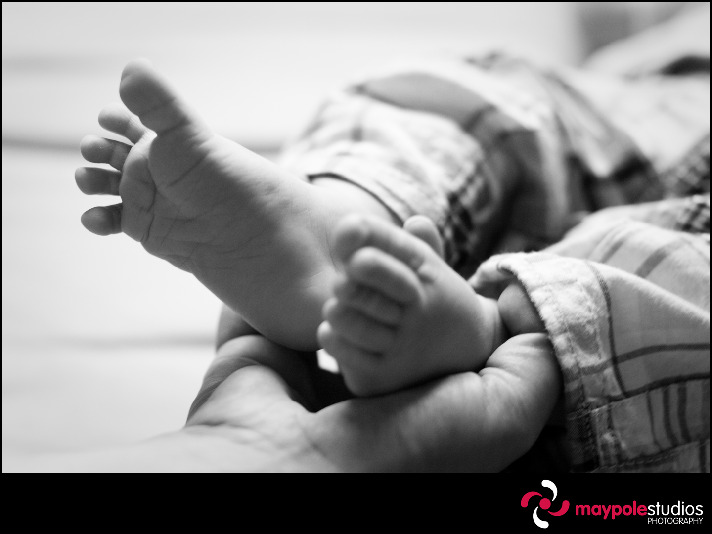 Little Jax – Maypole Studio