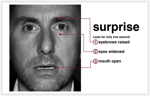 The Mentalist's Guide: The 7 Universal Microexpression