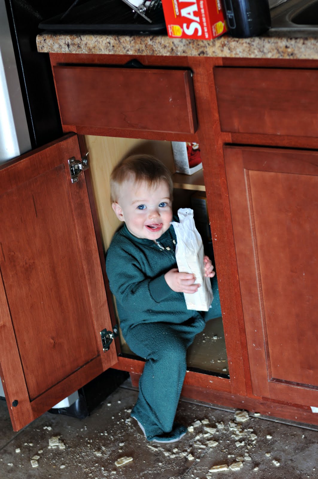 The Sanders Family: Fear of tight spaces...? The Sanders Family: Fear of tight spaces...?