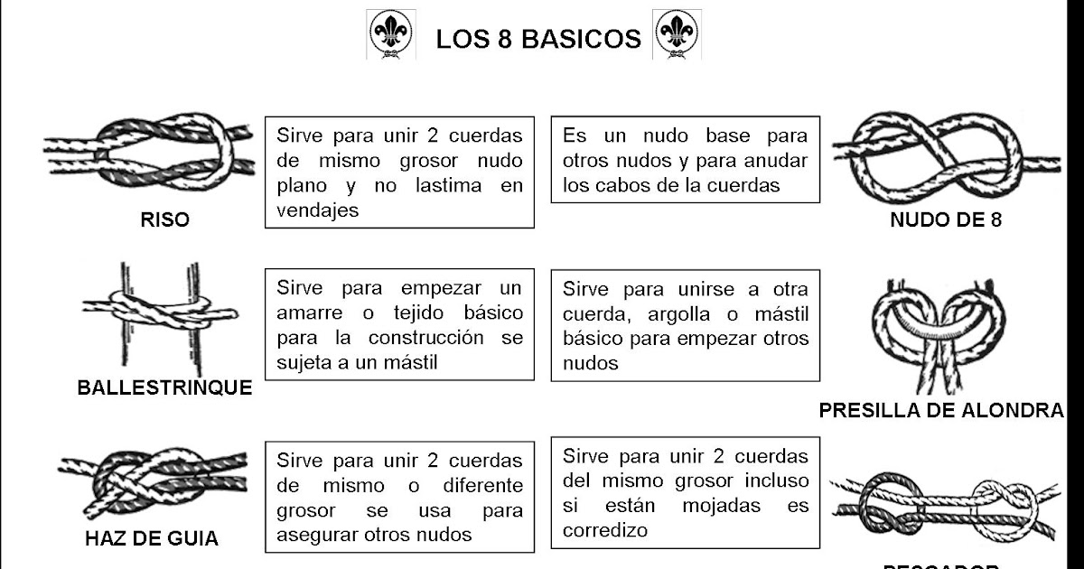 Fases Scout: Los 8 Nudos Básicos