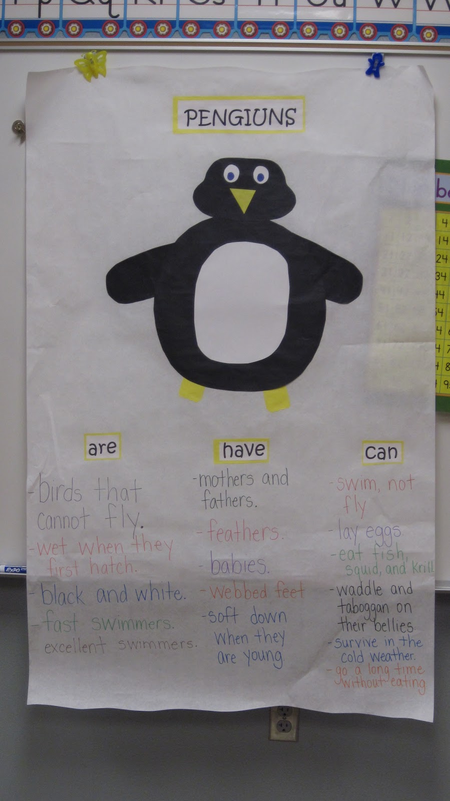 Penguins - Fun in First