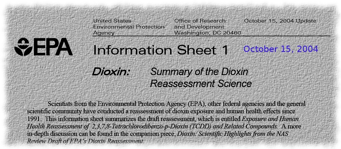 There Is No Safe Level for Dioxins | Dublin Waste To Toxins