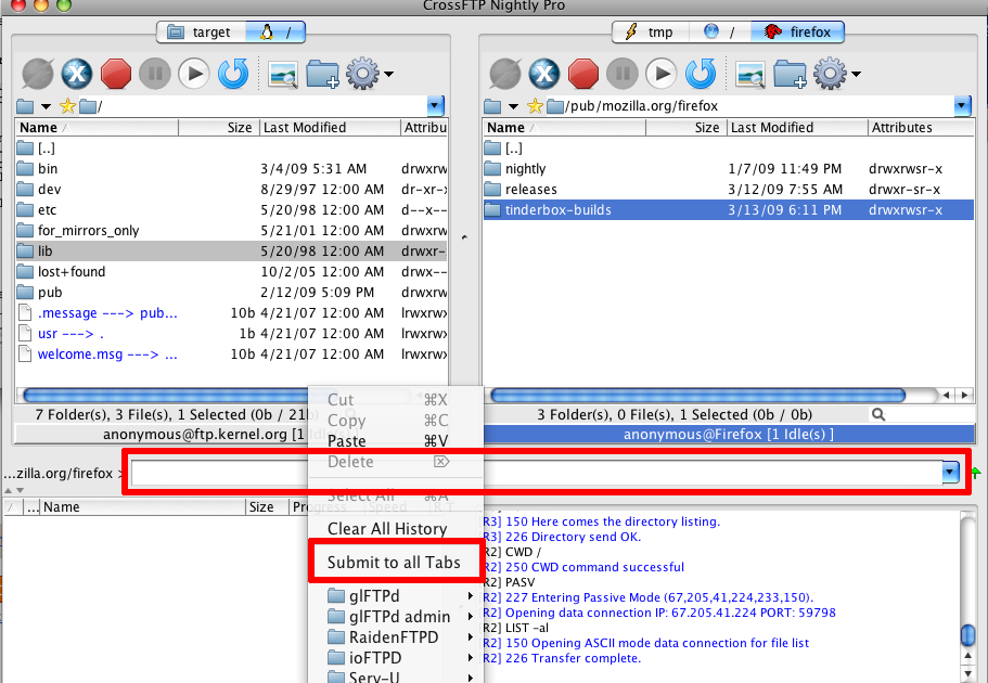 CrossFTP, FTP and Amazon S3 Client: Manage FTP sites by FTP command CrossFTP, FTP and Amazon S3 Client: Manage FTP sites by FTP command
