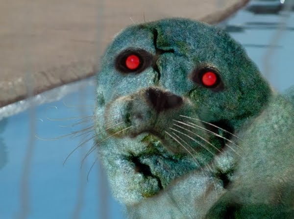 Zombie Squiggs: Zombie animals part 5 - Zombie Seal
