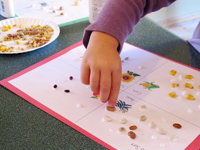 Seed Sorting » Share & Remember