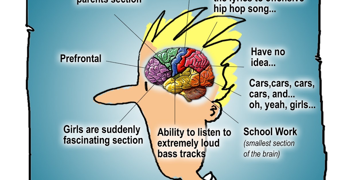 Rodrigo Estevez - Psychology: Teenage Brain