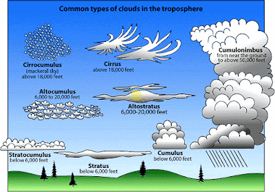 My Weather Blog: Common types of clouds in the troposphere