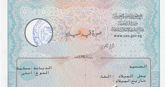 Sinai The Shield Of Egypt Acquiring Egyptian Birth Certificate For sinai-the-shield-of-egypt-acquiring-egyptian-birth-certificate-for
