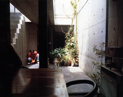 Courtyard House Designs: Azuma House by Tadao Ando