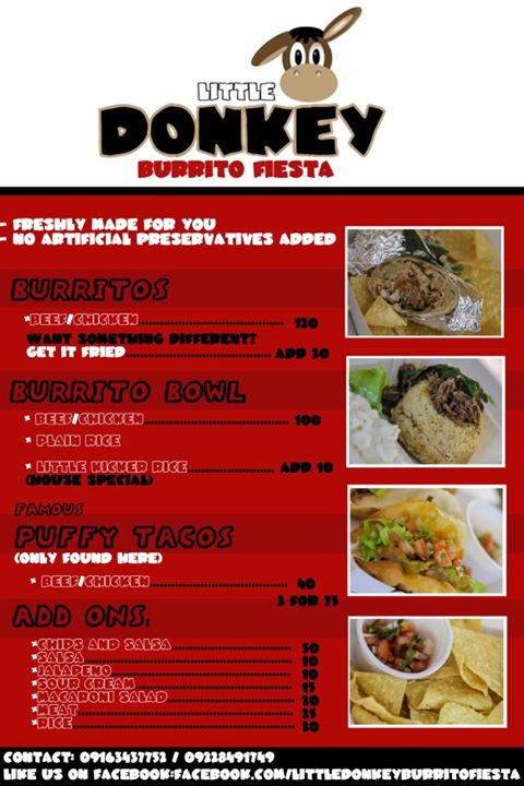 LITTLE DONKEY'S Deep Fried Burrito - a Burrito Fiesta - A Not-So ...