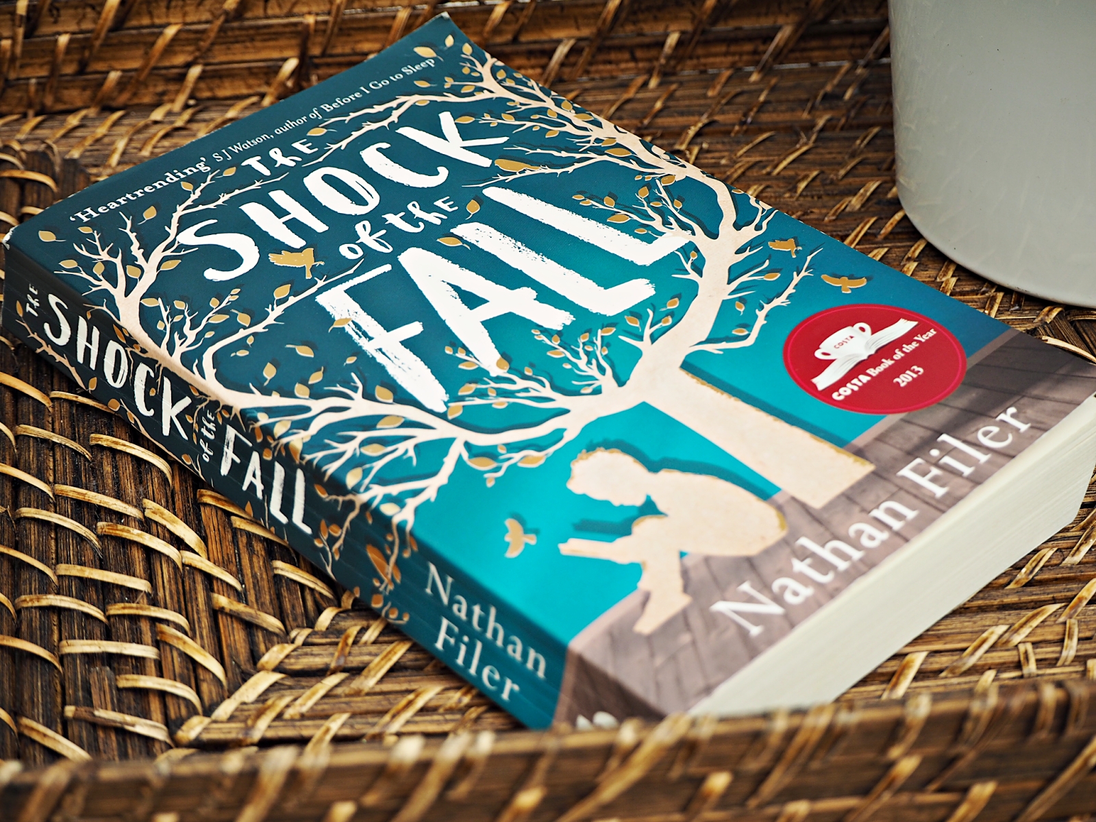 BOOK REVIEW: THE SHOCK OF THE FALL BY NATHAN FILER | LAURA SIAN TAYLOR