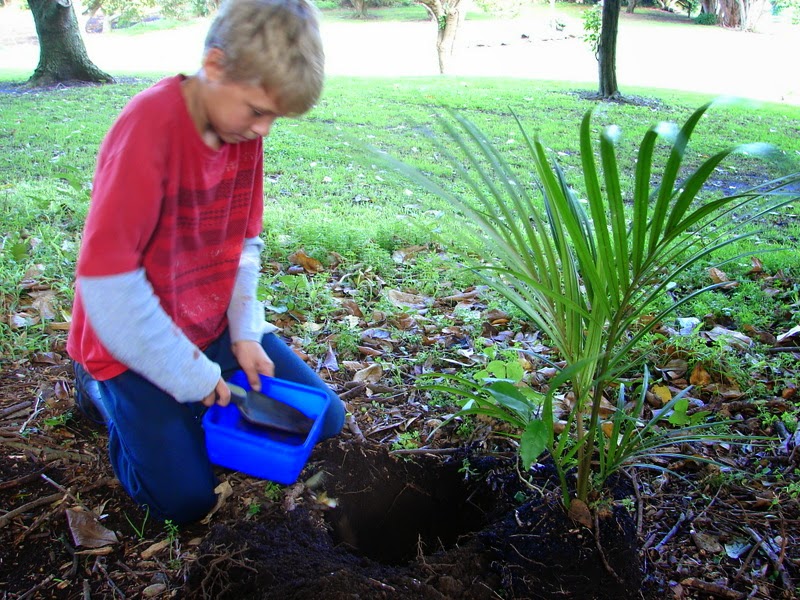 Taranaki Enviroschools: Planting day at Hawera Primary